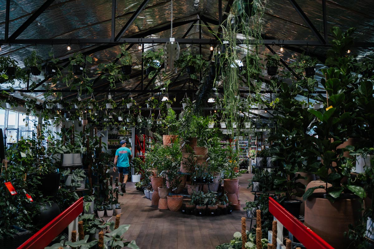The Auckland Garden Centre For Gardeners & Landscapers